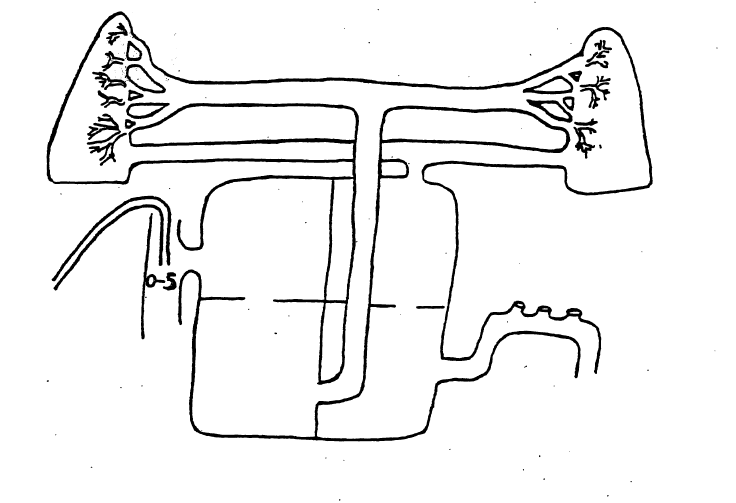 Simplified Hemodynamics - Simplified Nursing