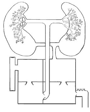 Simplified Hemodynamics - Simplified Nursing